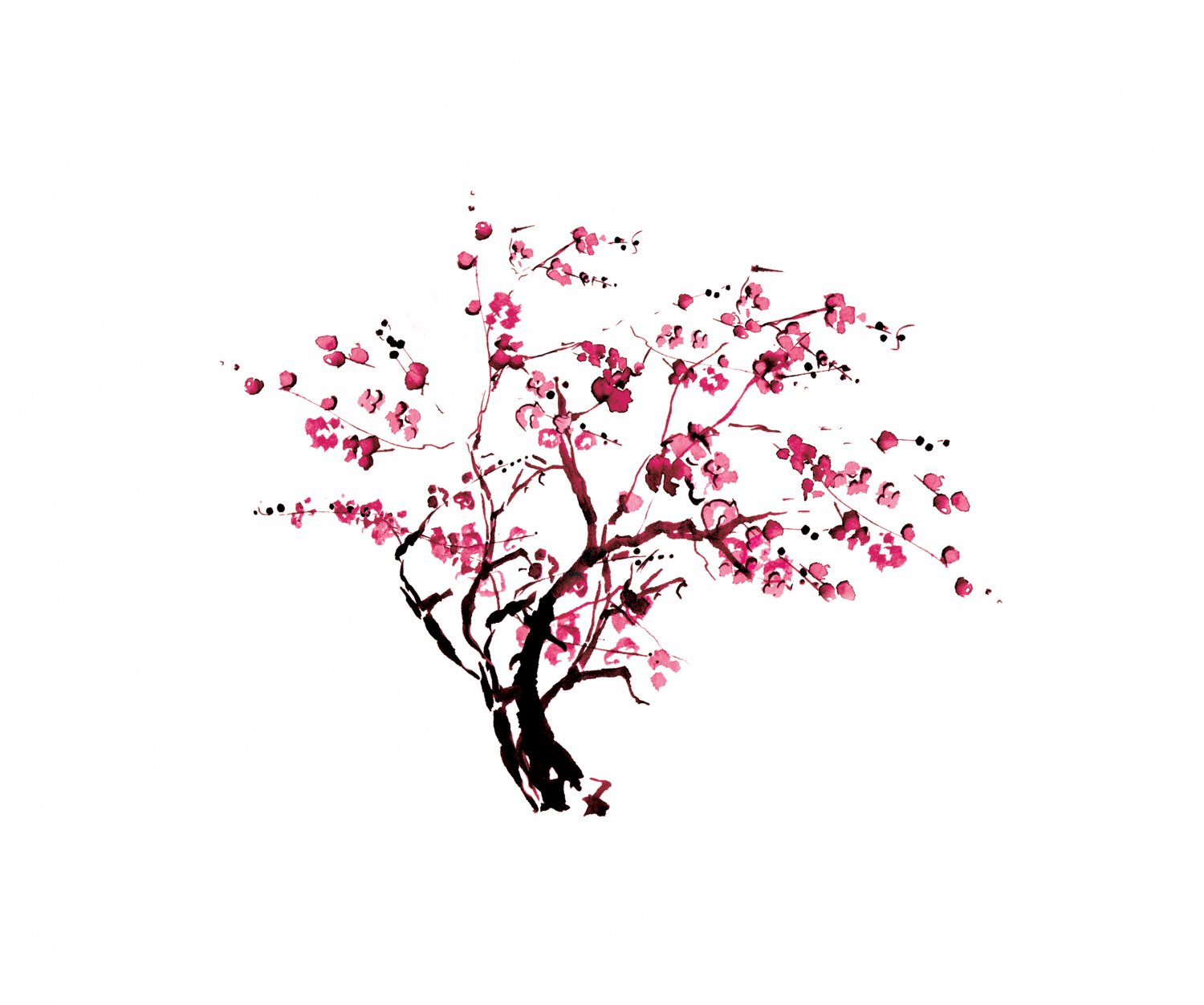 SCA Dance Academy 2022 2023 Picture Day - SCADA - Uchida Photography