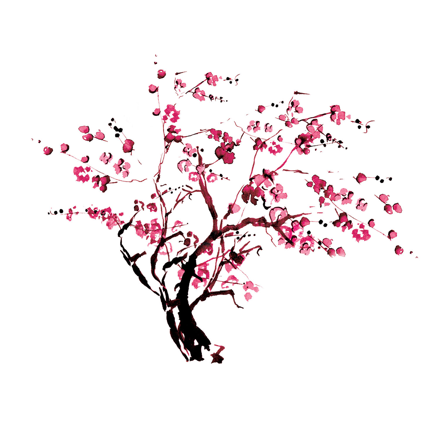 Head Middle Magnet 2024 2025 Picture Day - Head Magnet Middle - Picture ...